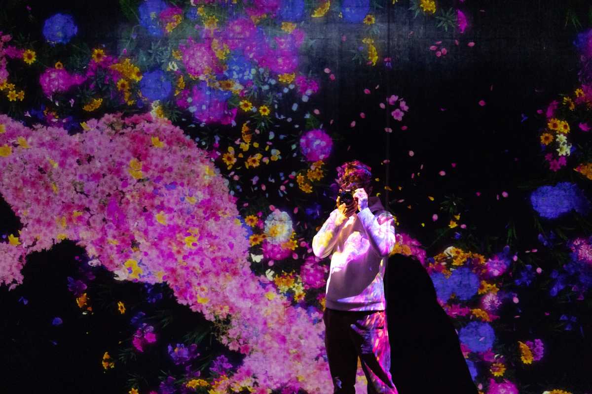 Timeline | Morrison Cole